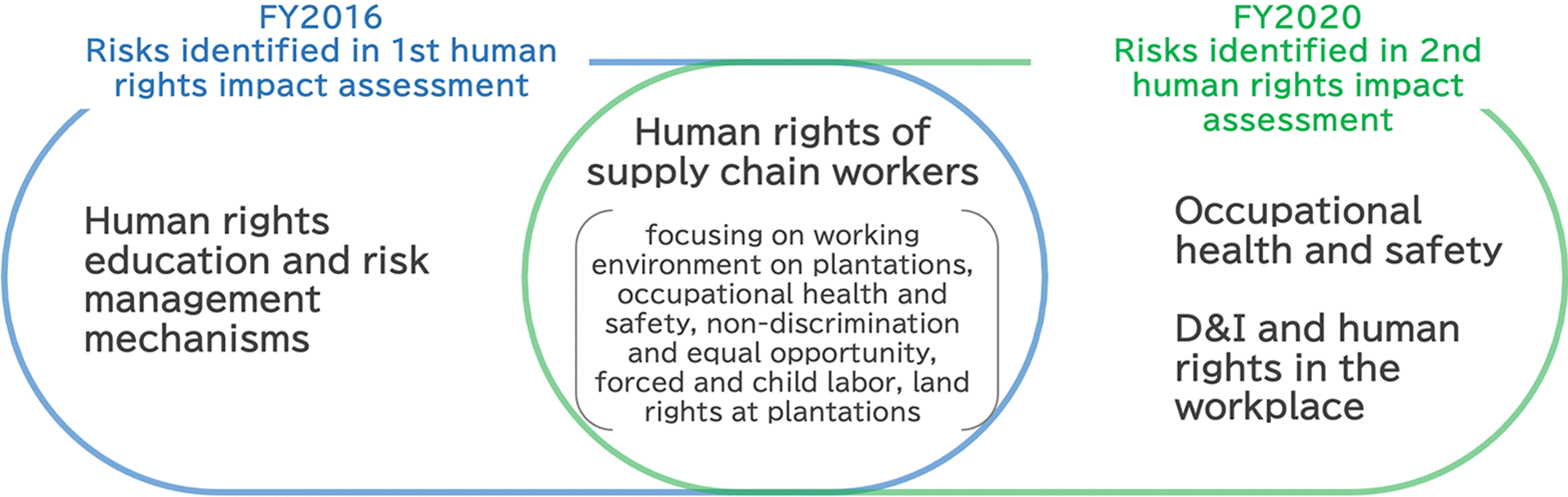 Human Rights Management｜Sustainability｜FUJI OIL CO., LTD.