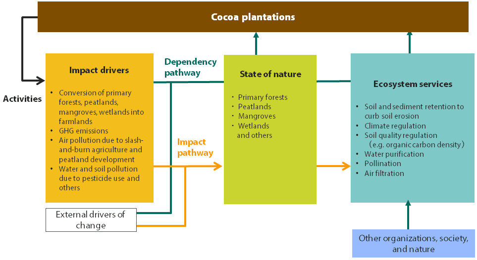 Biodiversity Conservation and Restoration｜Sustainable Food Value Chain ...